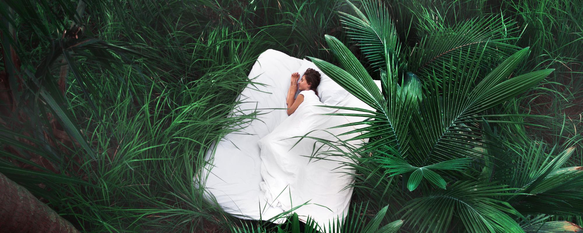 The Bed Show 2023 - Vita Comfort